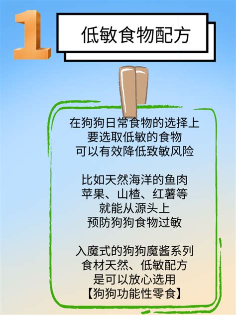 要留心！狗狗也会食物过敏！喂养维宠宠物导航网