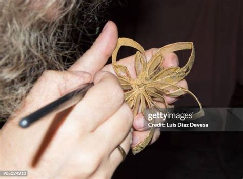 Loo Roll Craft Photos And Premium High Res Pictures Getty Images