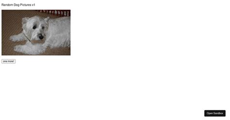 Axios React Forked Codesandbox