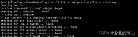 centos安装nginx centos 安装nginx csdn博客