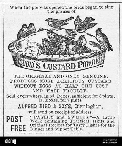 Old Victorian Magazine Newsprint Birds Custard Powder Advert From 1883