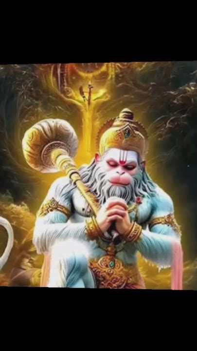 Shri Ram Ji Ke Doot Bade Khas Balajibalajisarkarviralvideo