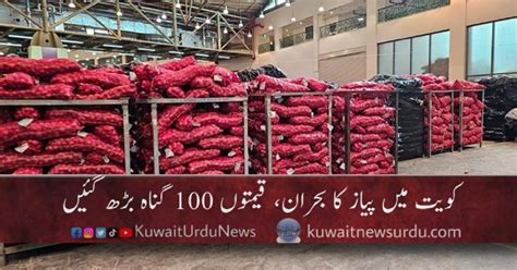 کویت میں پیاز کا بحران، قیمتوں میں 100 فیصد اضافہ ہو گیا
