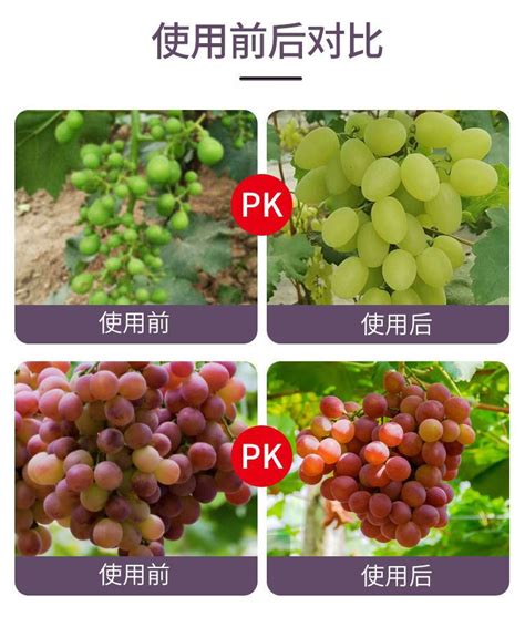 葡萄树专用肥料复合肥有机颗粒缓释肥微量元素果树苗盆栽肥料 阿里巴巴