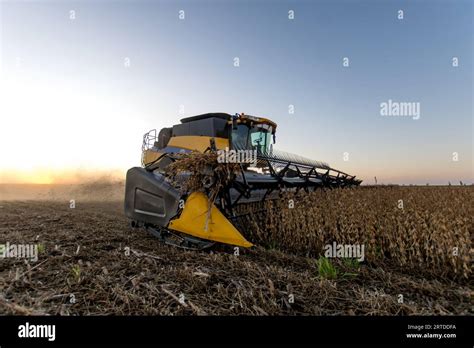 Combine Harvester Collecting Corn Grains In Rural Argentine Field Stock