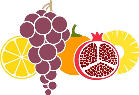 Fruit Royalty Free Vector Image Vectorstock