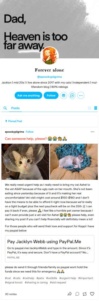 Scam Archive On Tumblr