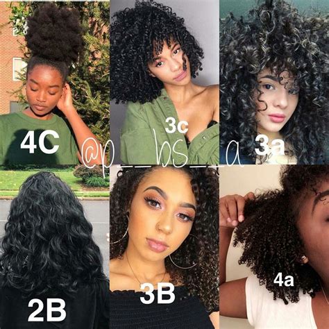 Exploring Black Hair Types Diversity Traits And Styling Tips