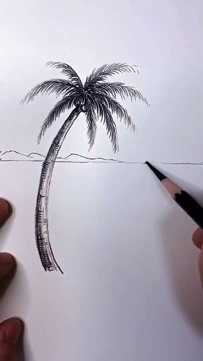 Beautiful Palm Easy Pencil Art رسم نخلة مع منظر رائع و سهل Youtube