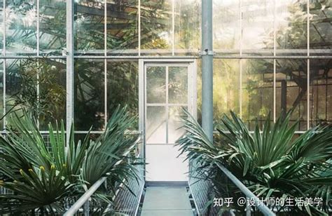什么是透明木材 知乎