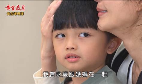 《黃金歲月 Ep333精采片段》搶救臣臣駿生 雪琴末路？｜四季線上4gtv