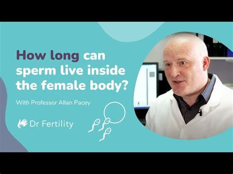 How Long Does Sperm Live Inside The Female Reproductive Tract