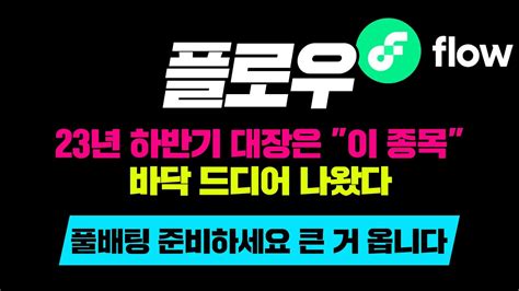 23년 하반기 대장 코인 플로우 바닥 나왔습니다 이제부터는 그냥 풀배팅만이 답이다 계좌 단단히 준비하세요26일 큰 거