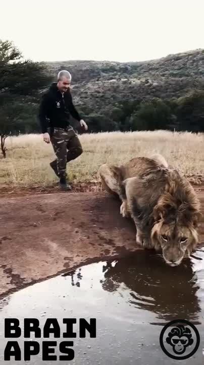 [video] Dr Tamara Mitchell Davis Mba On Linkedin As A Storytelling Strategist And Business