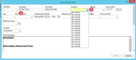 Display Newborn On Ob Tracking Shell Using Pre Arive Patient Tool