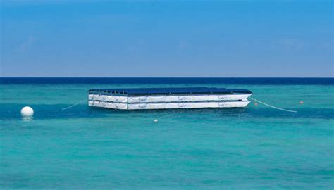Worlds First Offshore Floating Solar At Sea 2014 Maldives Swimsol