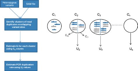 Overview Of Computational Method For Estimating The Pcr Duplication