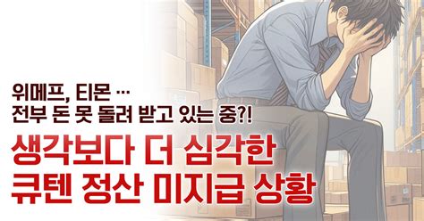 Newg “피해액만 1000억”티몬·위메프 정산 후폭풍으로 판매자 소비자 모두 초비상 위키트리