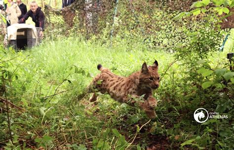 Un Jour Un Chasseur Added A New Un Jour Un Chasseur