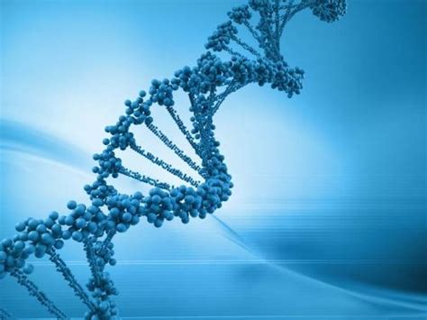 【医学前沿】科学家证实了精神分裂症基因作用