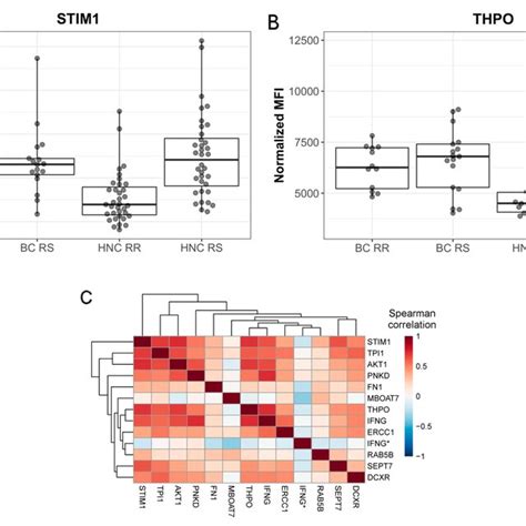 Protein Candidates Of Radiosensitivity Measured In Exploratory Bead