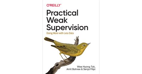 Introduction To Weak Supervision Practical Weak Supervision Book