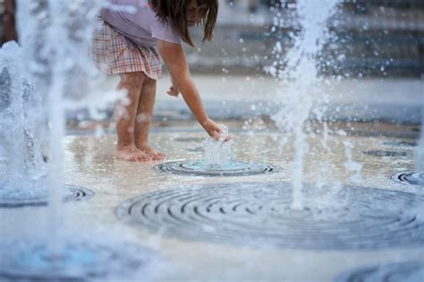 Calidad Del Agua En Fuentes Ornamentales
