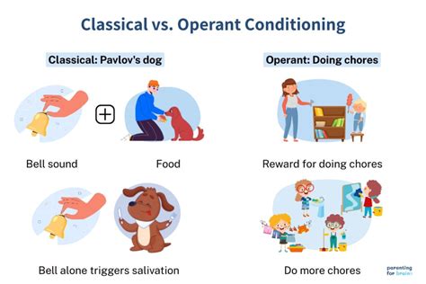 Classical Vs Operant Conditioning Differences And Similarities Worksheets Library