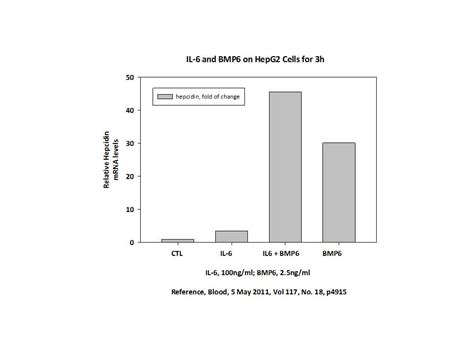 Recombinant Mouse Bmp 6 Protein 6325 Bm 020 Randd Systems