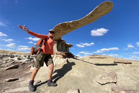How to find the King of Wings New Mexico?