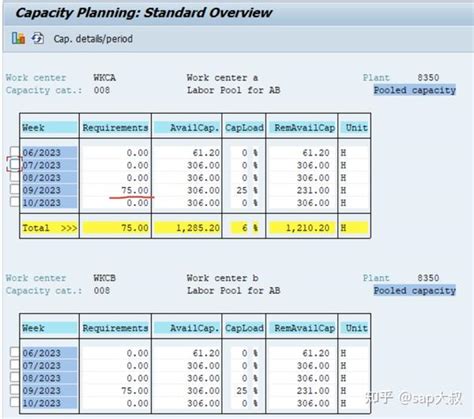 Sap Pool Capacity