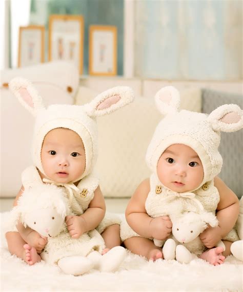 무료 이미지 어린이 담홍색 장난감 아가 생성물 직물 유아 피부 쌍둥이 봉제 인형 백일 형제와 자매