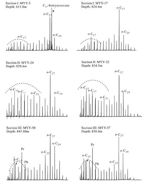 Chromatograms Of Aliphatic Alkane Compounds In Representative Oil Download Scientific Diagram