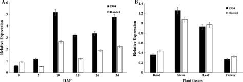 Quantitative Real Time Pcr Analysis Of Clcg08g017810 A Relative
