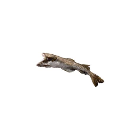 Headless Skrei Cod Fish Classic Fine Foods