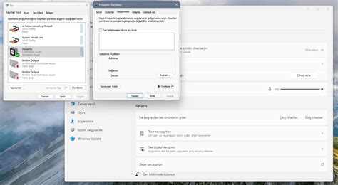 Audio Enhancements And Tab Missing And Bug R Windows11
