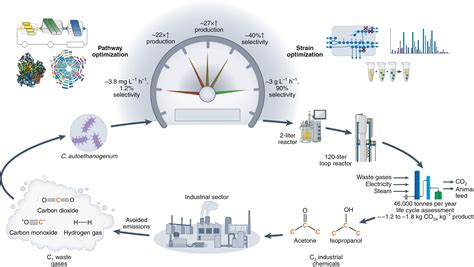 Biosynthetic Materials The Future Of Sustainable Manufacturing