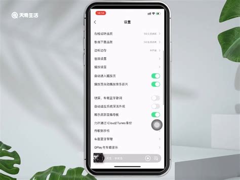 苹果12qq音乐怎么没有桌面歌词 苹果12qq音乐没有桌面歌词 天奇生活