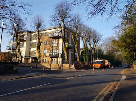 Lime Tree Pollarding Prestwich Manchester 21032018