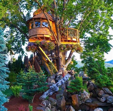 My Favorite Everything