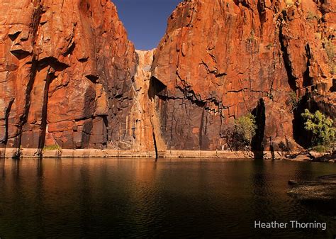 Python Pool By Heather Thorning Redbubble