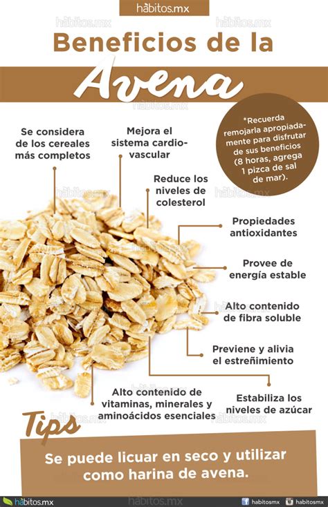 Beneficios De La Avena Frutas Y Verduras Beneficios Nutricion Y Salud