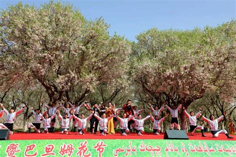 莎车县举行2021年文化旅游暨巴旦姆花节 中国网