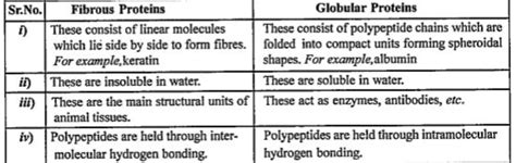 Biology Notes For A Level Globular And Fibrous Proteins 41 Off