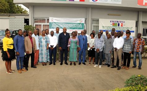 Renforcement Des Capacités Au Cfmi Un Levier Pour La Cohésion DÉquipe Et La Performance