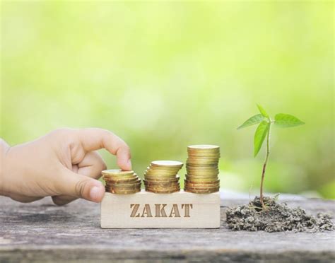 Mco Maips Introduces Online Zakat Payment The Leaders Online