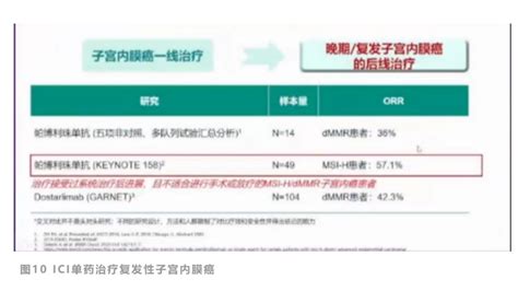 妇科肿瘤免疫治疗的研究进展 子宫肿瘤