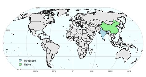 Ggplot2 Creating A Robinson Distribution Map Of Several Plant Species