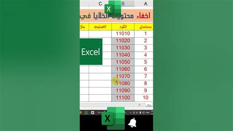 اخفاء محتويات الخلايا في الاكسل Excel Exceltips Tutorial