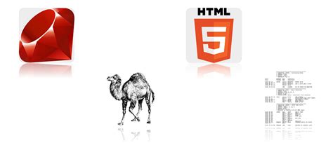 10 best programming languages to learn hacking